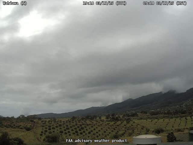 Wahiawa, Oahu Webcams - Oahu Live View