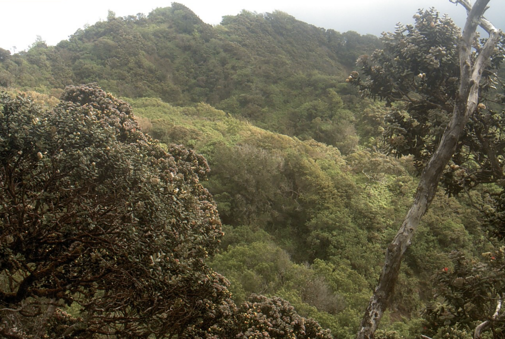 Waianae Mountain Range, Oahu Webcams - Oahu Live View